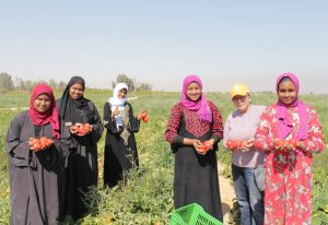 Careers – CARE Egypt